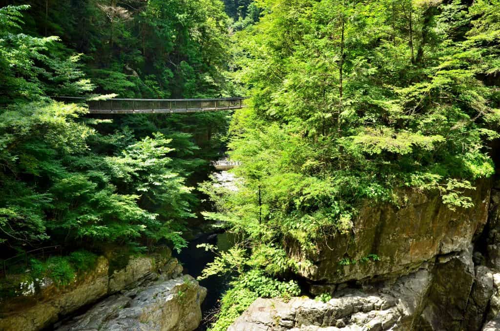 Instagrammable Japan: 4 of Nara’s Most Like-Worthy Attractions - ANA ...