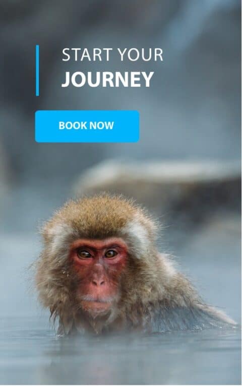 An ANA Pilot Shares His Top (Insider!) Spots To Visit in Japan - ANA ...